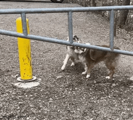 Very well done - Imgflip