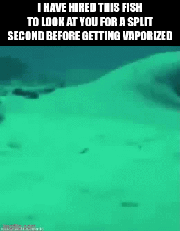 Fish Staring At Your Soul. - Imgflip