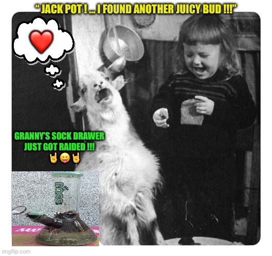 Up-Tempo , Slow , Who Freaking Cares ? It’s Metal As FOOK ! \m/ - Imgflip