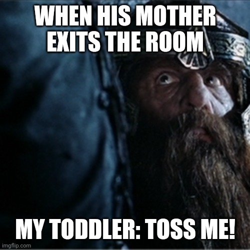 My toddler likes being tossed - Imgflip