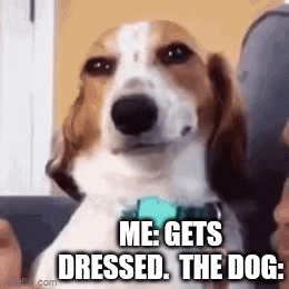 What da hellllll - Imgflip