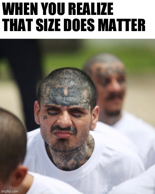 Forehead Size Matters Imgflip