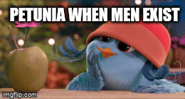 Swooning Birds - Imgflip