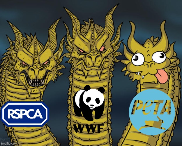 Animal Rights Imgflip Animal Rights Imgflip