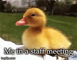 Staff meeting - Imgflip