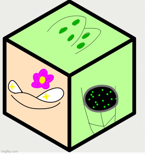 We see here, a cube - Imgflip