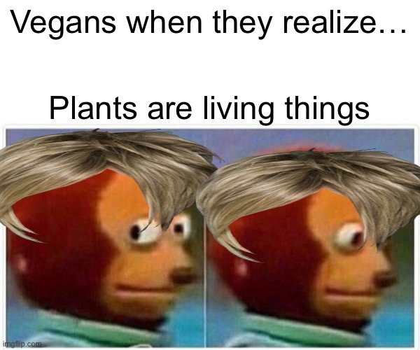 vegan people pov - Imgflip