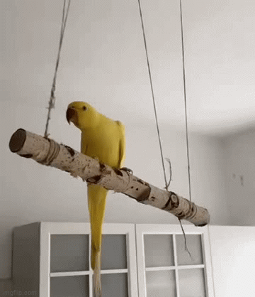 Pull that string - Imgflip