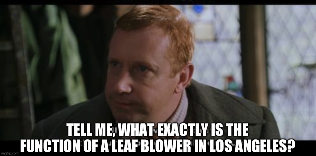 what exactly is the function - Imgflip