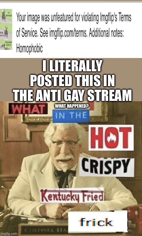 what in the hot crispy kentucky fried frick - Imgflip