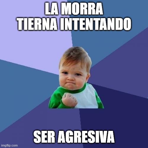 Success Kid Meme - Imgflip