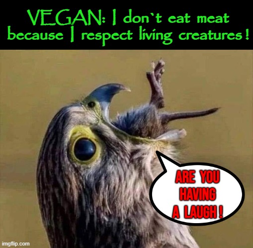 Some vegan wisdom ! - Imgflip