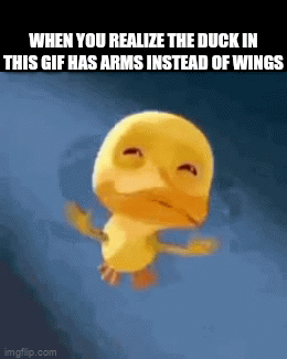 Duck crying gif - Imgflip