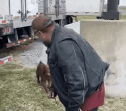 A hop on human - Imgflip