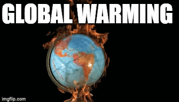 Animated GIF - Imgflip