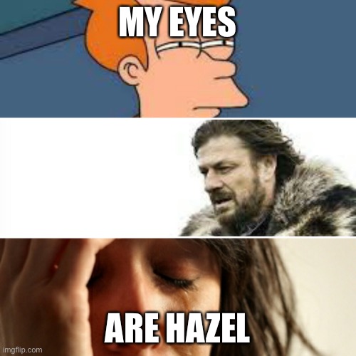 The username - Imgflip