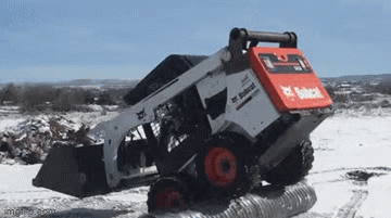 Bobcat acrobatics - Imgflip