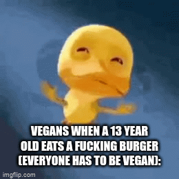 Yeah, I hate 99% of vegans - Imgflip