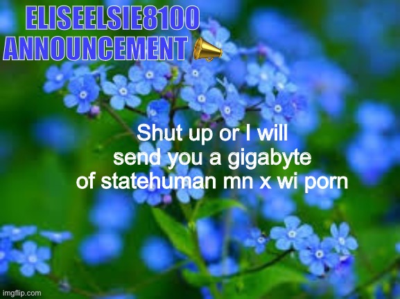 EliseElsie8100 Announcement - Imgflip