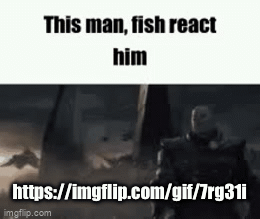 this man, fish react him - Imgflip