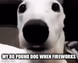 Shivering Dog - Imgflip