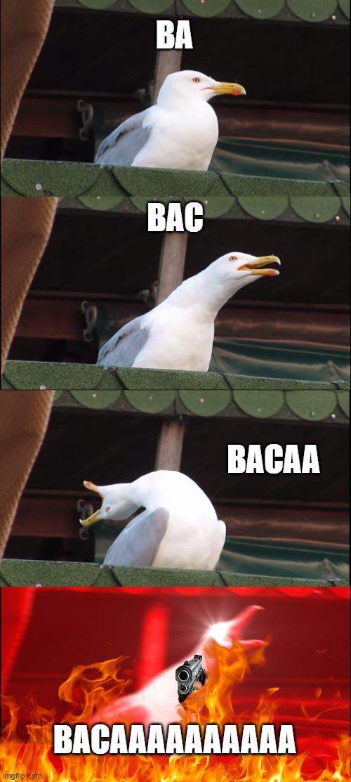 Inhaling Seagull Meme - Imgflip