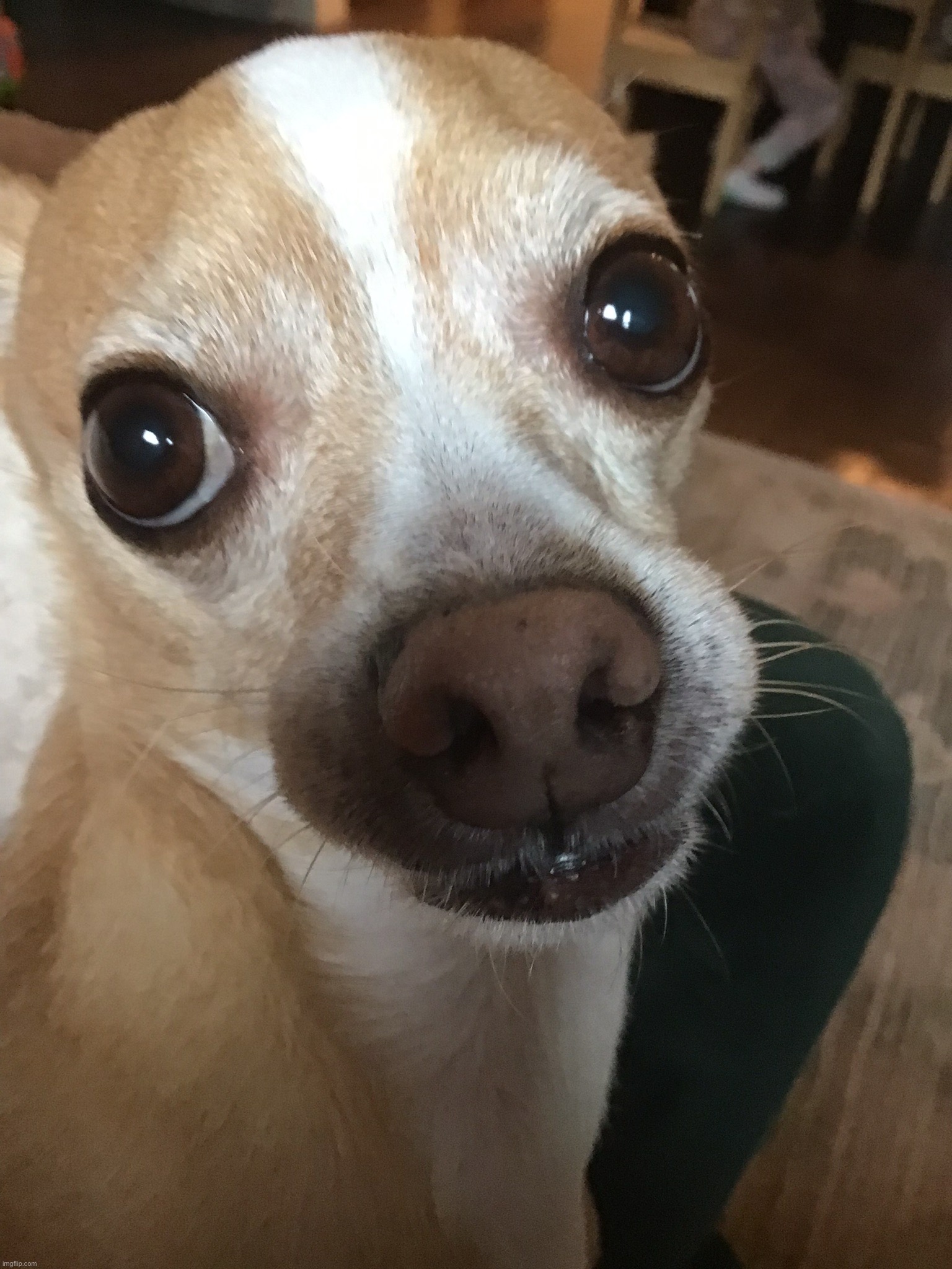 she goofy as hell - Imgflip