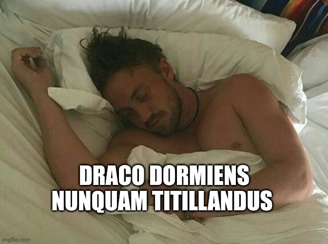Draco dormiens nunquam titillandus - Imgflip