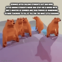 Vibing bears - Imgflip