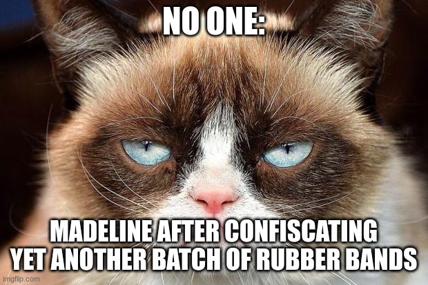 Grumpy cat glare - Imgflip