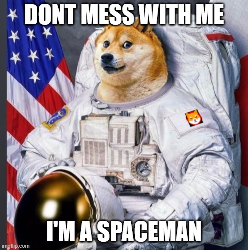 Image tagged in shibanaut very moon - Imgflip