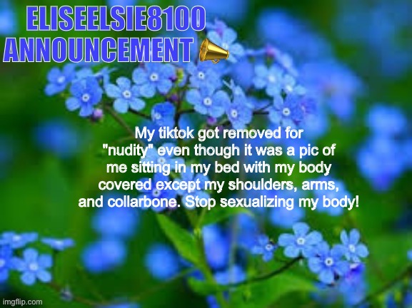 EliseElsie8100 Announcement - Imgflip