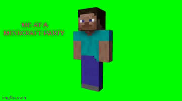 Minecraft Party's - Imgflip