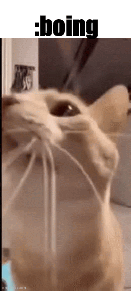 :boing - Imgflip