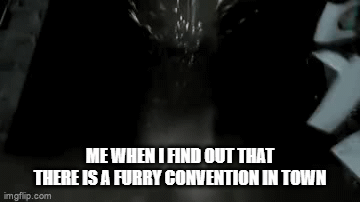 furry meme - Imgflip