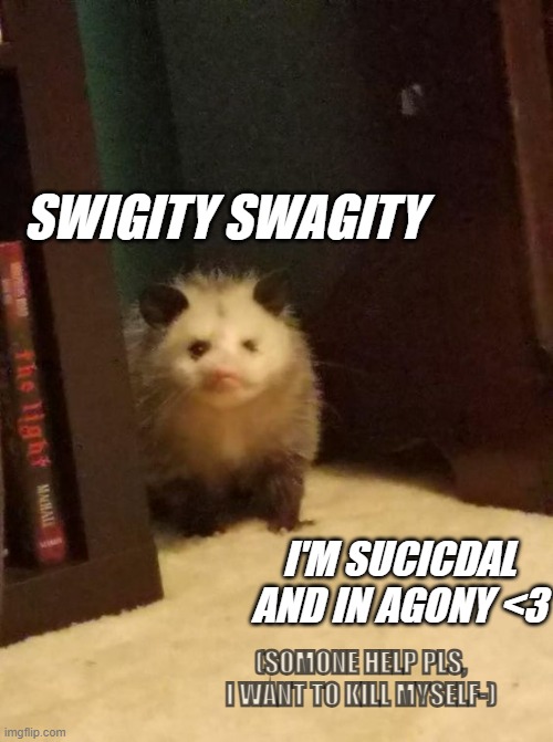 wtf possum - Imgflip