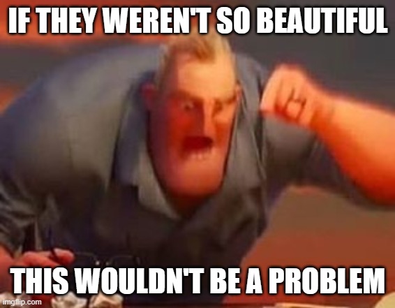 rape stats - Imgflip