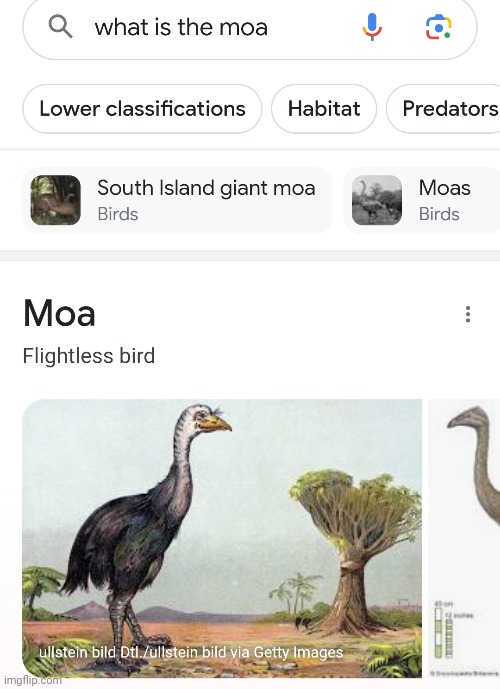 This man, _____ him - Imgflip