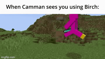 When Camman sees you using birch - Imgflip