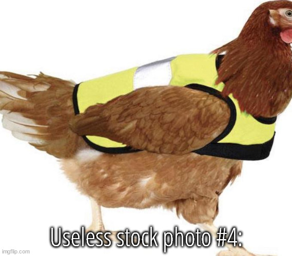 Safety chicken - Imgflip