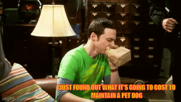 dogs cost money! - Imgflip