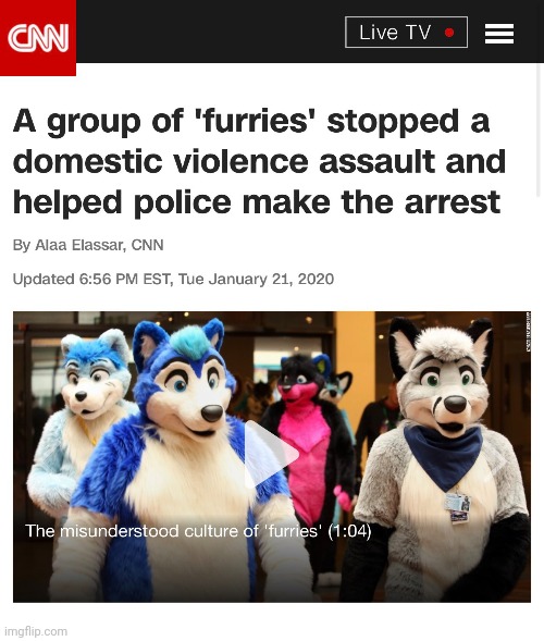 Massive W furries - Imgflip