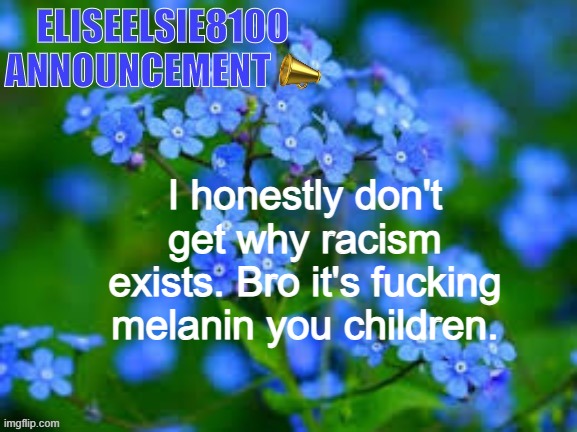 EliseElsie8100 Announcement - Imgflip