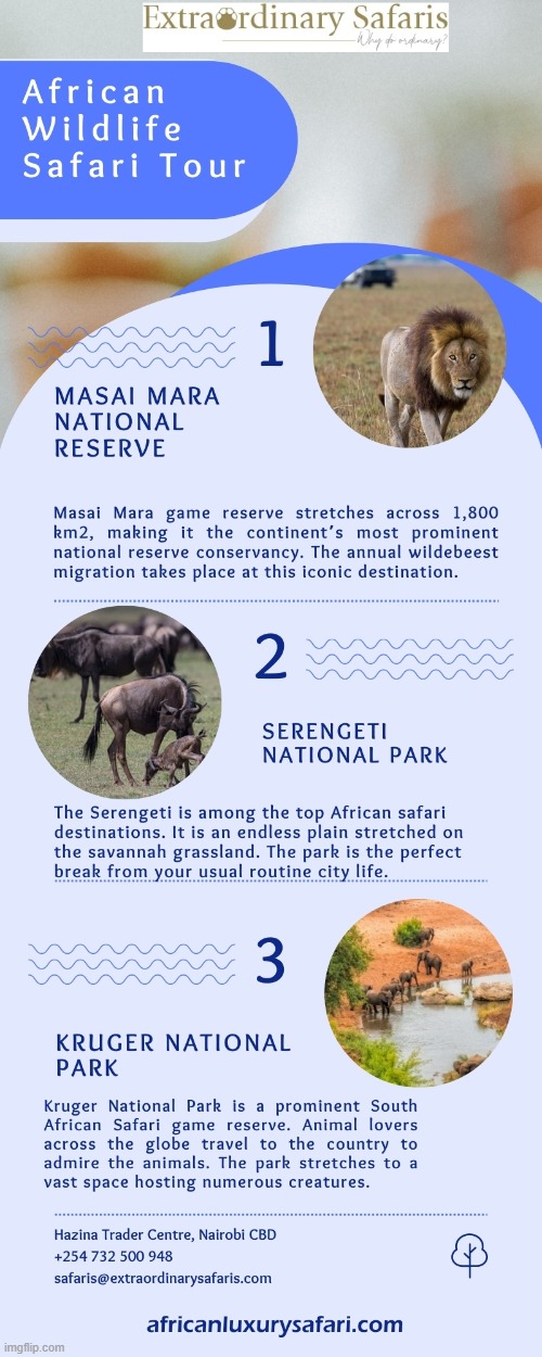 African wildlife safari tour - Imgflip