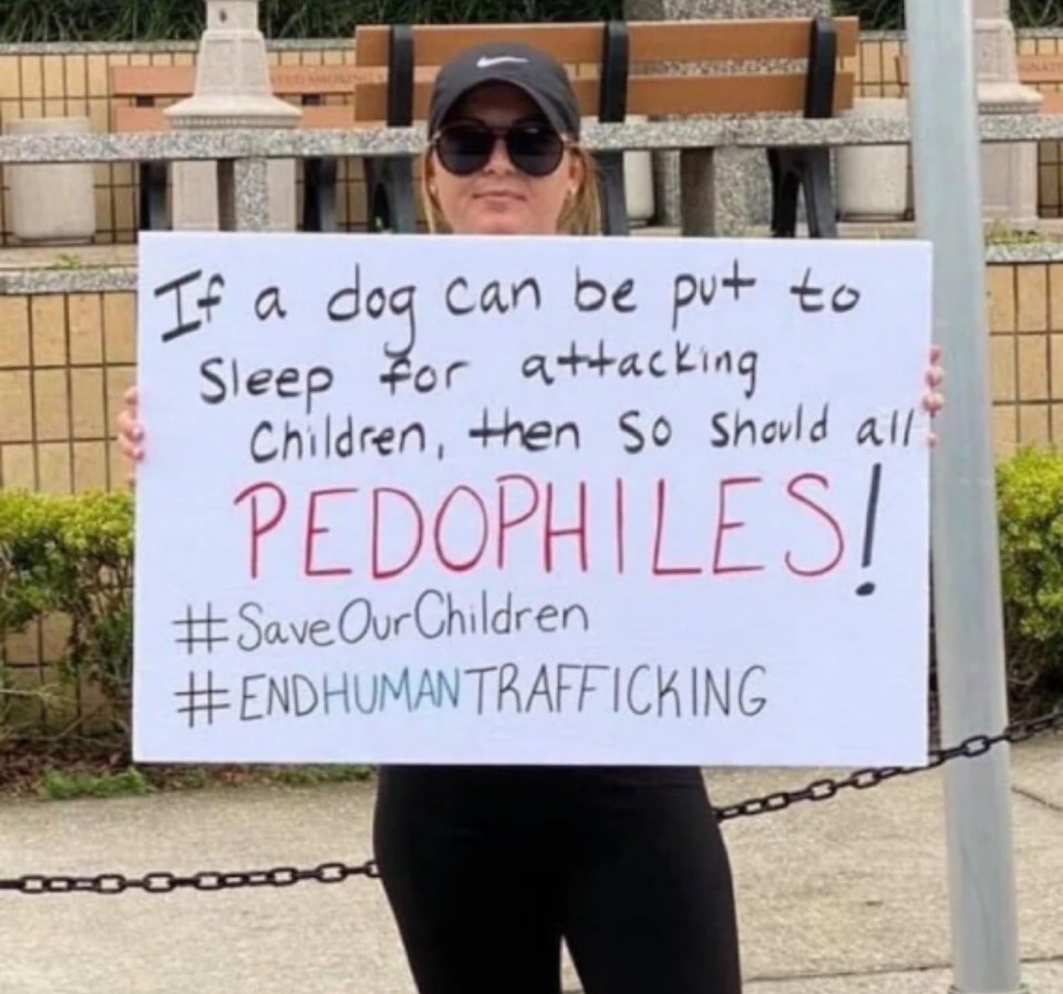 If A Dog Can Be Put To Sleep For Attacking Children You Know The Thing If A Dog Can Be Put To Sleep For Attacking Children You Know The Thing
