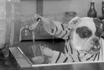 Dog needs a drink - Imgflip