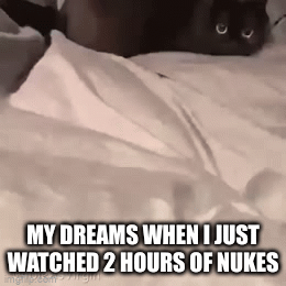 Cat Transcendence 2 - Imgflip