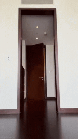 Animated GIF - Imgflip