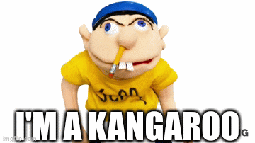 Animated GIF - Imgflip