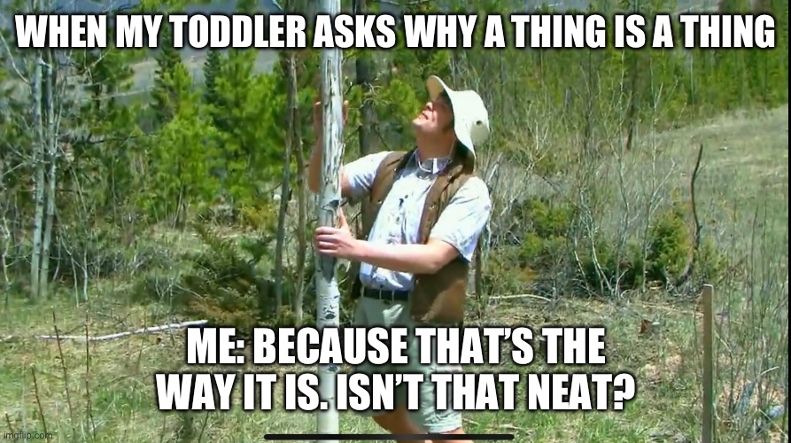 That’s pretty neat - Imgflip